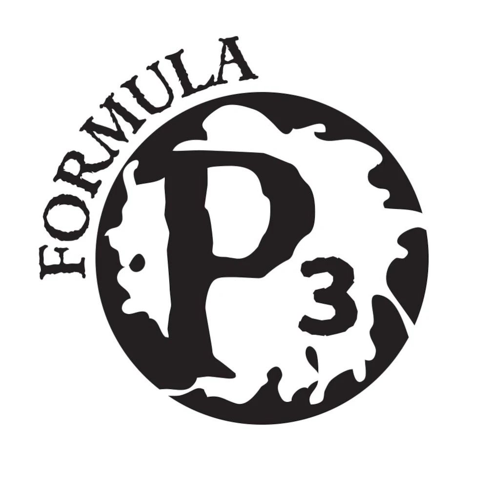 Over the Brick – P3